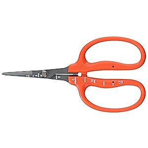 CHIKAMASA B-500SF Stainless Steel Fluorine Treated Grape Care Shears