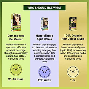 Indus Valley Natural Organic Damage Free Permanent Gel Hair Color, Ammonia Free, Vegan, Cruelty Free, Up to 100% Gray Coverage |Doctor Recommended| Bio Natural Certified- Black 1.0 (20gram+200ml) Pack of 1