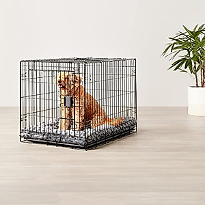 Amazon Basics Foldable Metal Wire Dog Crate with Tray, Single Door, 42 Inch