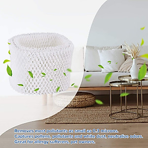 cherliyy 4 Pack WF2 Humidifier Replacement Filters Compatible with/Replacement for Filters Vicks & Kaz 3020, V3100, V3500, V3500N, V3600, V3800, V3850, V3900, ECM-250i, ECM-500, WA-8D