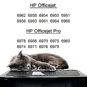 Jagute 902XL 902 Black Ink Cartridges Replacement for HP 902 XL Use with OfficeJet Pro 6978 6968 6970 6960 6971 6974 6975 6976 6979, OfficeJet 6958 6950 6951 6954 Printers.（2 Black）