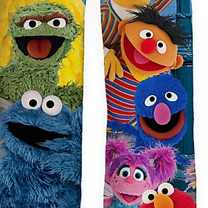 BRIEF INSANITY Sesame Street Adult Lounge Pajama Pants - Comfy, Loose-Fit, Ultra-Soft - Sesame Street Group Sleep Bottoms (Large)