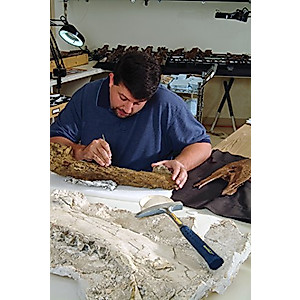 ESTWING Rock Pick - 14 oz Geology Hammer with Pointed Tip & Shock Reduction Grip - E3-14P