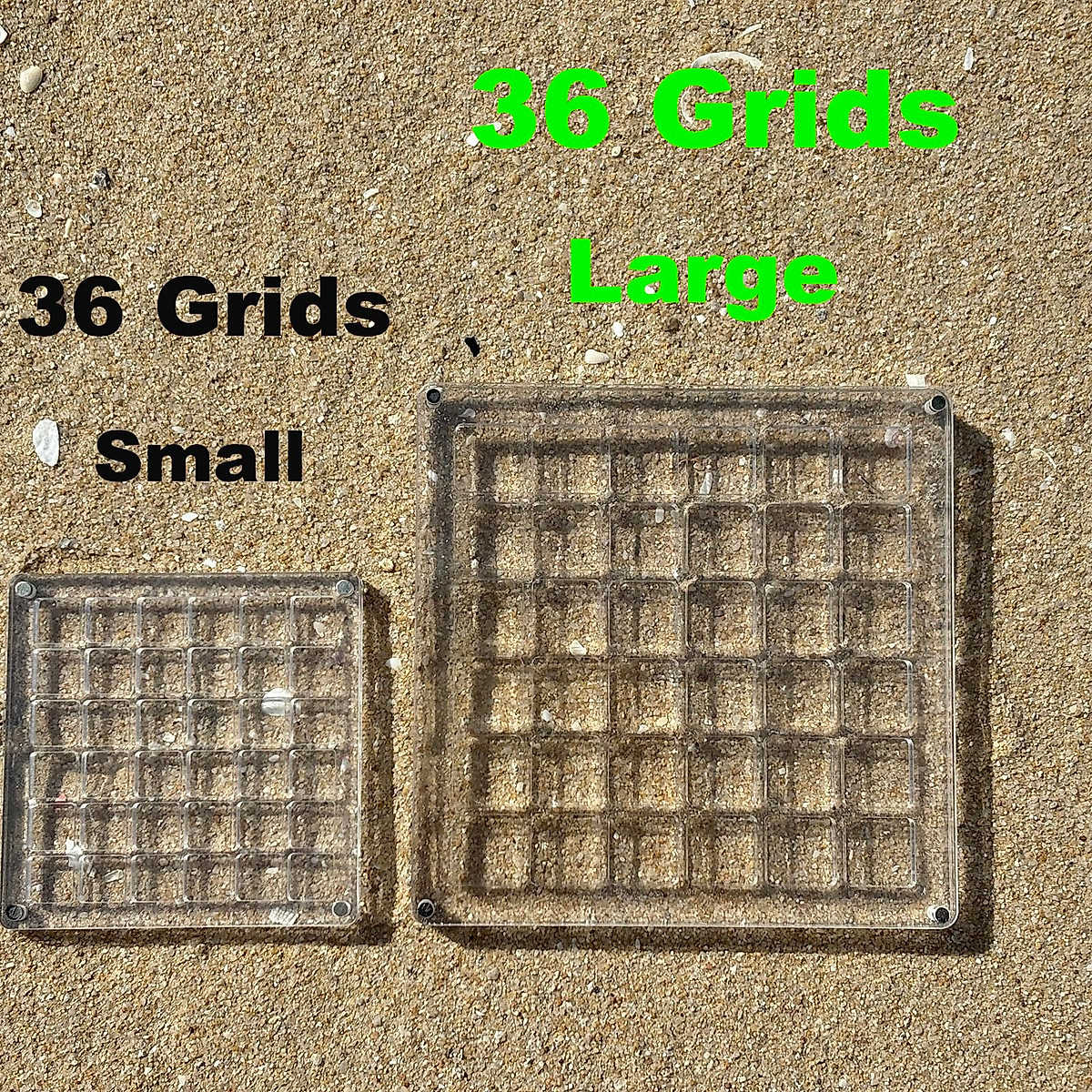 XronSlute Large Acrylic Magnetic Seashell Display Box,DIY Seashell Display Box,Clear Storage Box for Seashell,Gemstones,Nail,Jewelry (1Pc 36 Grids Large)