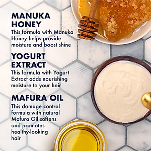 Shea Moisture Manuka Honey and Yogurt Hydrate Plus Repair Conditioner for Unisex, 10.3 Ounce
