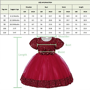 AGQT Toddler Girls Sequin Tutu Dress Big Bow-Knot Princess Short Sleeve Dress Sequin Dress for Babies Lace Birthday Party Elegant Formal Dress Green Size 12-18 Months