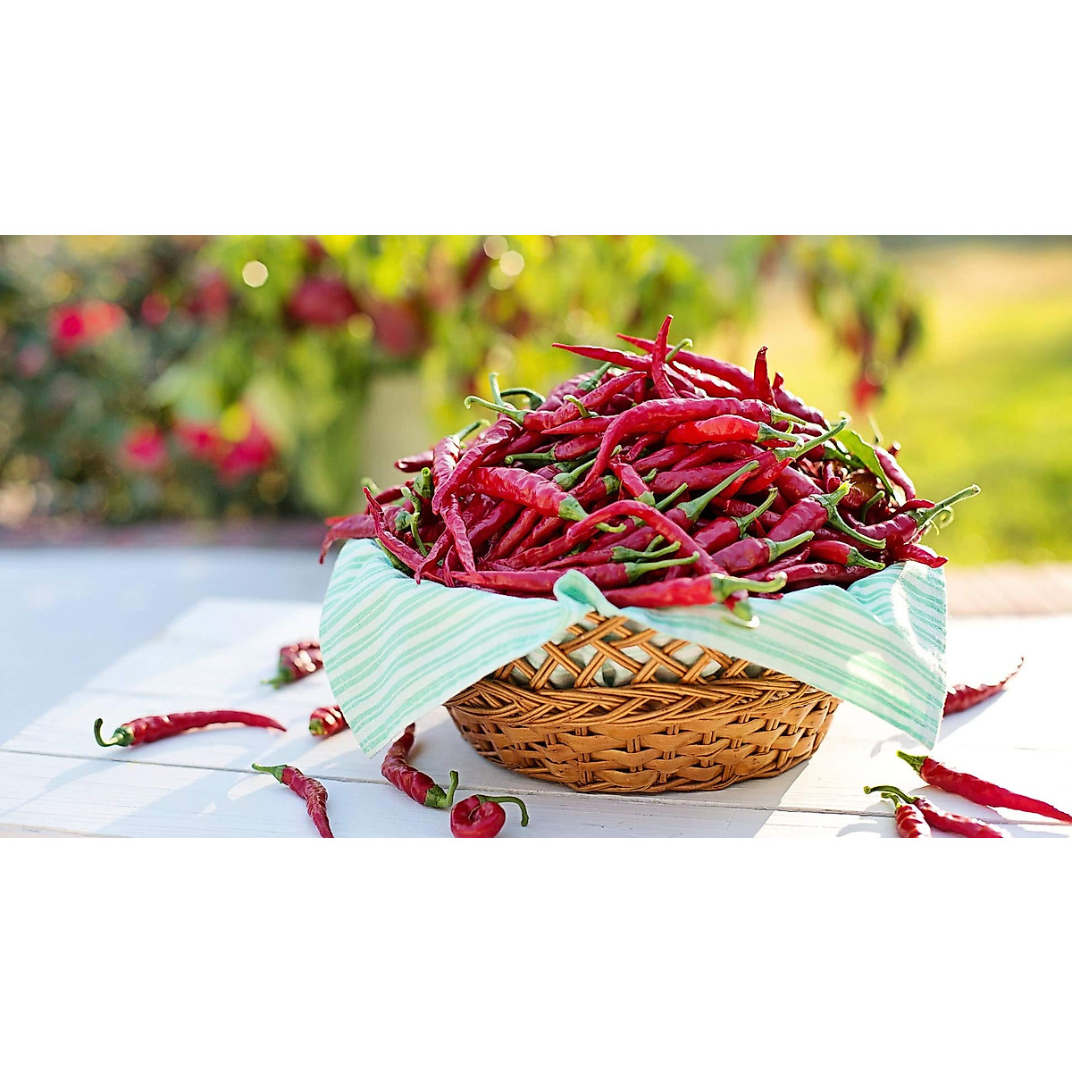 Gaea's Blessing Seeds - Cayenne Pepper Seeds - Heirloom Hot Pepper Long Red Slim Non-GMO Open-Pollinated High Yield Germination Rate 93% Net Wt. 1.0g