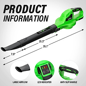 SOYUS 20V Cordless Leaf Blower with 2x2.0Ah Battery and Charger, 150 MPH Electric Leaf Blower, Two-Speed Mode, Green