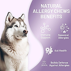 Noble Beast Dog Immune & Allergy Supplement - Itch Relief - Probiotics for Dogs - Skin & Seasonal Allergies - All Natural - Soft Chews with Hemp and Colostrum - Chicken Flavor - 120 Count