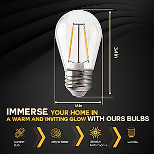 Seentech S14 LED String Light Bulbs E26 Medium Base 2W Shatterproof & Waterproof, 2700K Warm White Replacement Bulb Choice for Patio Garden String Lights & Home Decor 25 Pack