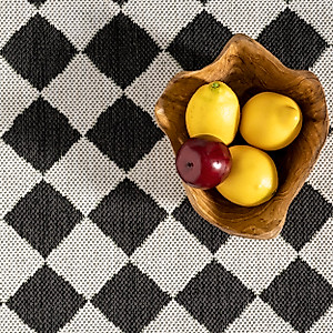nuLOOM Myka Checkered Indoor/Outdoor Area Rug, 4' x 6', Black and White