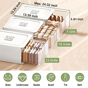 Miaocona Underwear Organizer Drawer, 1 Cell Plastic Sock Underwear Storage Drawer, Stackable Closet Organizers and Storage Box for Bras, Socks, Scarves, Ties, Belt (Placing Style, White, 1 Pcs)