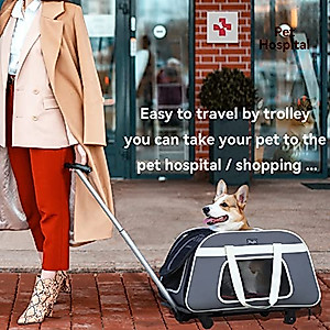 Petsfit Pet Carrier with Removable Wheels