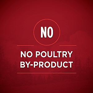 Purina ONE High Protein Wet Dog Food True Instinct Tender Cuts in Dog Food Gravy With Real Chicken and Duck - (Pack of 12) 13 oz. Cans