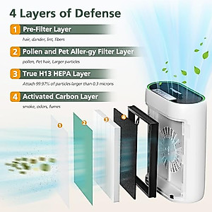 2-Pack MK-D05 Air Fil-ter Replacement for MK-D05 Air Cleaner Puri-fier, 4-in-1 High-Efficiency H13 True HEPA Filt-er with Carbon Filt-er, Green (Pet Dander Version)