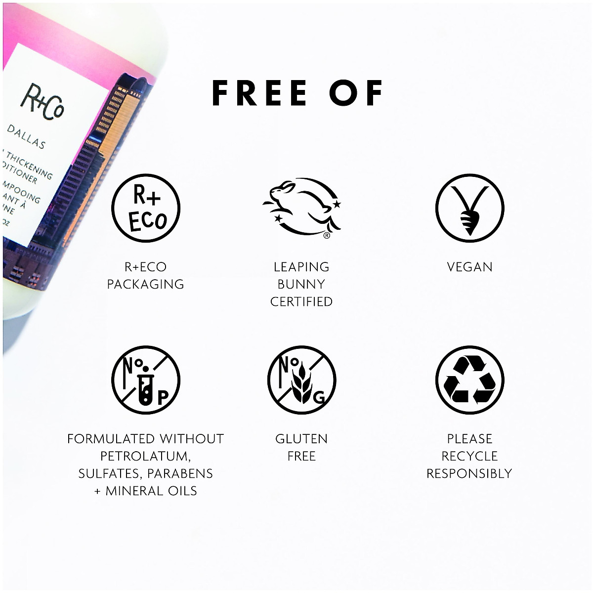 R+Co Dallas Biotin Thickening Conditioner | Weightless Hydration, Strengthens + Enhances Shine | Vegan + Cruelty-Free | 8.5 Oz