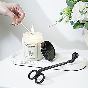 Candles, Apple Cinnamon and Lemongrass Eucalyptus Candles for Home Scented, 2 Pack Candles Gifts for Women, 15 oz Soy Candle, Scented Candles Gifts Set for Mother's Day, Valentine, Christma's Gifts…