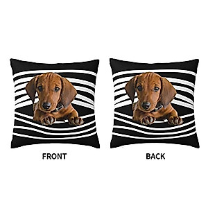VARUN Square Throw Pillow Covers Cute Dachshund Dog Stripes Design Pillow Cases Decorative for Home Bedroom Sofa Pillowcases Standard Size 18X18 Inch
