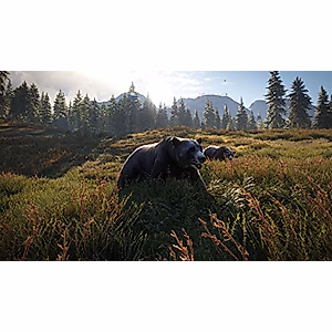 theHunter: Call of the Wild - 2019 Edition - PS4 (PS4)