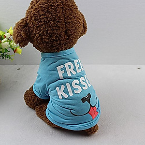 Small Dog Clothes Female Set Dog Clothing T Shirt Vest Lightweight Stretchy T-Shirts Soft Shirts Puppy Costume for Small Dog