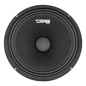 DS18 PRO-GM10 Loudspeaker - 10", Midrange, Black Steel Basket, 660W Max, 220W RMS, 8 Ohms - Premium Quality Audio Door Speakers for Car or Truck Stereo Sound System (1 Speaker)