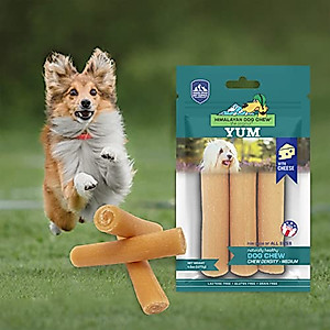 Himalayan Dog Chew Yak Cheese Dog Chews, 100% Natural, Long Lasting, Gluten Free, Healthy & Safe Dog Treats, Lactose & Grain Free, Protein Rich, Medium, 4.5 oz