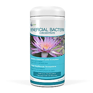 Aquascape 98949 Beneficial Bacteria Concentrate for Pond and Water Features, 1.1-Pound, white