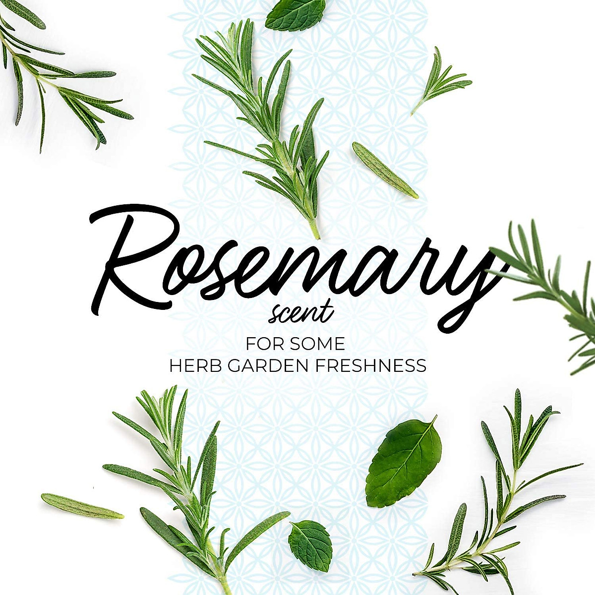 Home Made Simple Dish Soap Natural Dishwashing Liquid Plant Based, Rosemary Scent, 16 Fluid Ounce 1 Pack