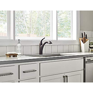 DANZE D455121BR Kitchen Faucet, Tumbled Bronze