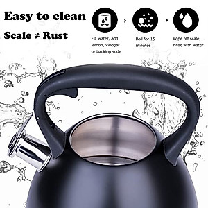 ARC, 346, 3.2 Quart / 3L Tea Kettle Food Grade with Heat Resistance Handle, Stainless Steel Teapot for Stovetop, Anti-Rust and Loud Whistling (3L - Black durable color 3)