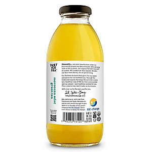 Just Ice Tea Organic Iced Tea, 16 Fl Oz Glass Bottles (Morrocan Mint Green Tea, Pack of 12)