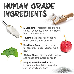 maxxipaws maxxicardio Heart & Cardiovascular Powder Supplement for Dogs, 5.3oz