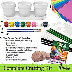 Flower Pot Painting Kit with Flower Seeds for Kids - Complete Growing Plant Craft DIY, Paint Your Own Flower Pot Planting kit, Includes Pots, Paint Set, Accessories, Seeds & Soil, Flower Craft