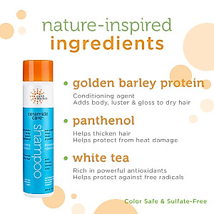 EARTH SCIENCE Ceramide Care Volumizing Shampoo & Conditioner Bundle (Cardamom Scent, 10 oz.)