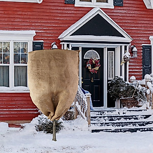 2 Pack Burlap Winter Plant Cover Bags-23.6 × 39.4 inch Plant Frost Protector,Reusable Plant Covers Freeze Protection Plant Frost Cloth Cold Freeze Blanket Protecting Fruit Tree Potted Plants (2PCS)