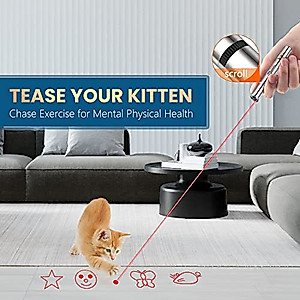 Cutomo Red Laser Pointer for Cats to Play, USB Rechargeable Laser Pointer Cat Toy Red Dot Laser Light for Cats, Cat Toys Interactive for Indoor Cats, Cat Laser Toy for Indoor Cats to Chase