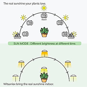 LED Grow Light for Indoor Plants 2 Pack, Intelligent USB Small Plant Lights with Remote Controller, Height Adjustable, Automatic Timer, Ideal for Home Decoration