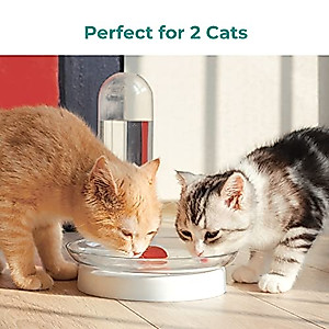 Cheerble Automatic Cat Water Dispenser Without Filter, Wireless Pet Water Fountains Gravity, Quiet Drinking Fountains for Kitten & Puppy, Non-Electric, KittySpring