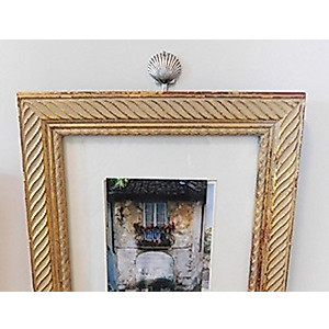 Small Scallop Shell Decorative Wall Hook, Silver Metal Beach Decor