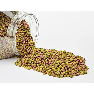 Tortoise Diet Fruit & Flower 680g