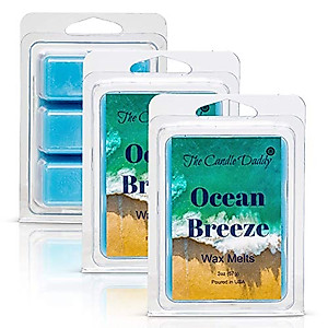 The Candle Daddy Ocean Breeze - 2 oz Wax Melt- 6 Cubes- Refreshing Beach Scent, Gift for Women, Men, BFF, Friend, Wife, Mom, Birthday, Sister, Daughter, Sea Aroma