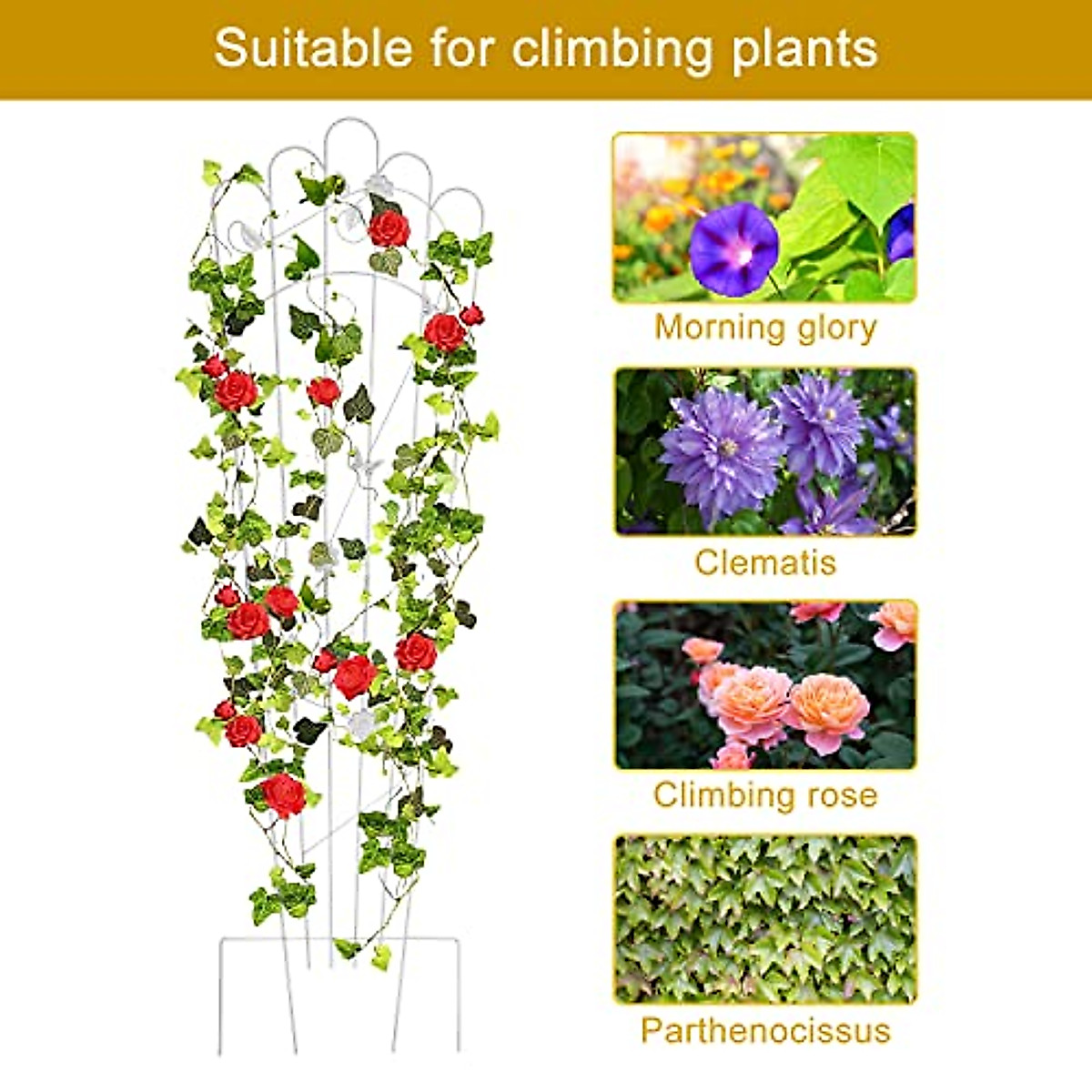 XYADX Metal Detachable Trapezoidal Garden Trellis for Climbing Plants, 60 Inches Sturdy Patio Plant Support for Indoor Plants Trellis for Rose, Vegetable Flower, Backyard Pack of 2 - White