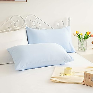 AYASW Pillowcases Set of 2 Queen Size Premium Soft and Cozy 1800 Brushed Microfiber with Envelope Closure Pillow Case Light Blue 20x30 inches Easy Care Wrinkle Fade Resistant Holiday Decor
