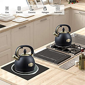 Tea Kettle -2.8 Quart Tea Kettles Stovetop Whistling Teapot Stainless Steel Tea Pots for Stove Top Whistle Tea Pot