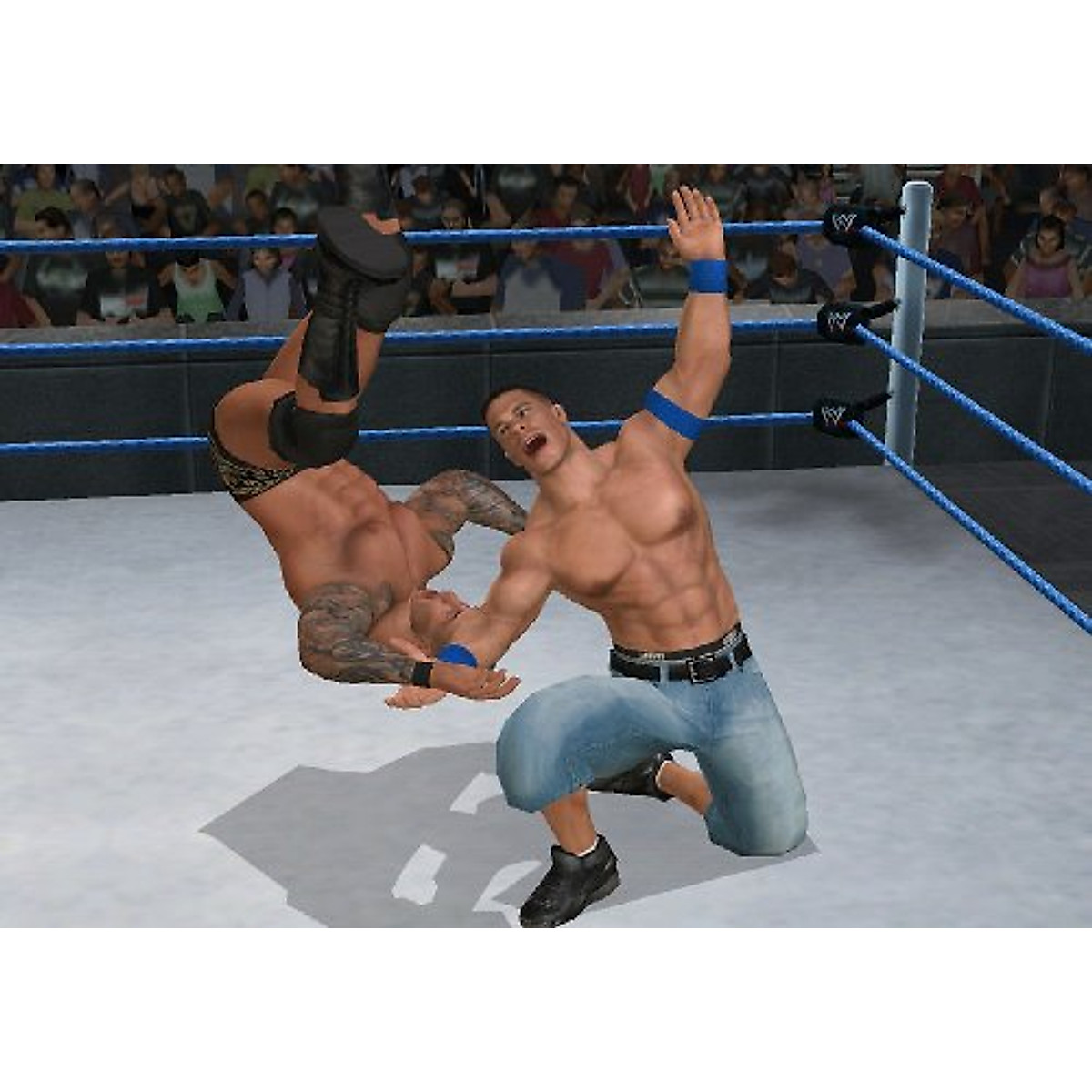 WWE SmackDown vs. Raw 2010 - Nintendo Wii