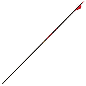 Gold Tip Hunter Arrows with Raptor Vane (Pack of 6), Black, 340