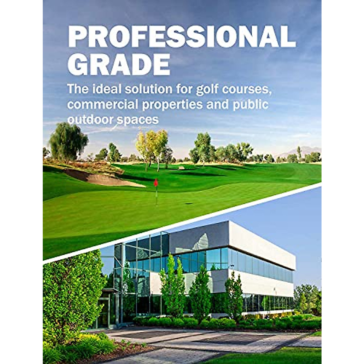 Seymour 20-602 Grass and Shrub Renew Spray Paint, Pristine Green (17 oz.)