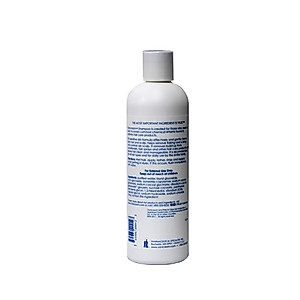 Free & Clear Shampoo 12 oz (Pack of 6)