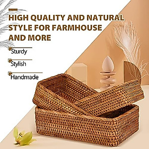Rattan Serving Tray, Hand Woven Basket, Home Decor Organizer Tray for Breakfast, Tea, Snack, Fruit, Coffee Storage (Rec Small)