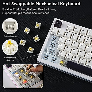 YUNZII YZ75 75% Hot Swappable Wireless Gaming Mechanical Keyboard, RGB Backlights, BT5.0/2.4G/USB-C, Dye Sub PBT Keycaps for Linux/Win/Mac(Gateron G Pro Yellow, White)